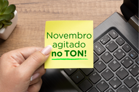 Saiba Tudo Sobre o Aplicativo da Ton - Conheça Todos os Benefícios